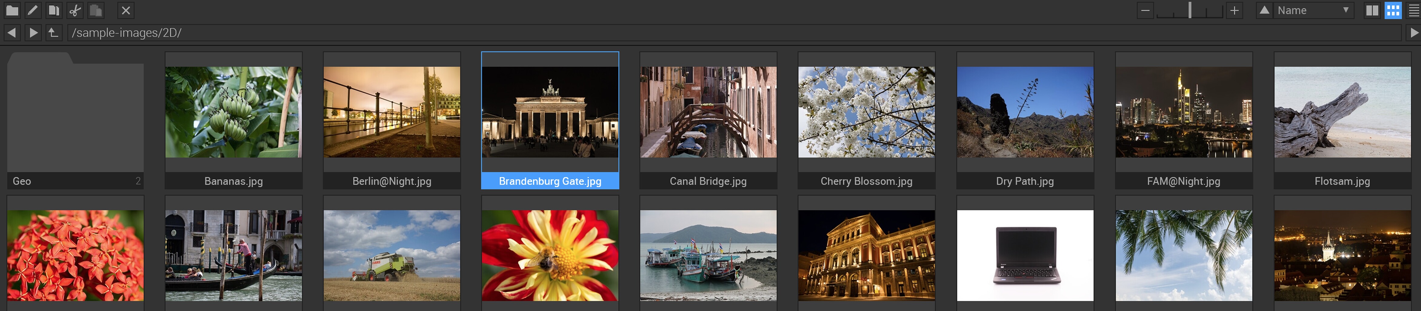 File View | NeptuneLabs Documentation